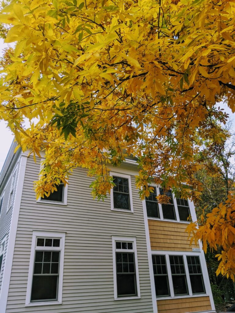 Fall in Vermont - Basin Harbor